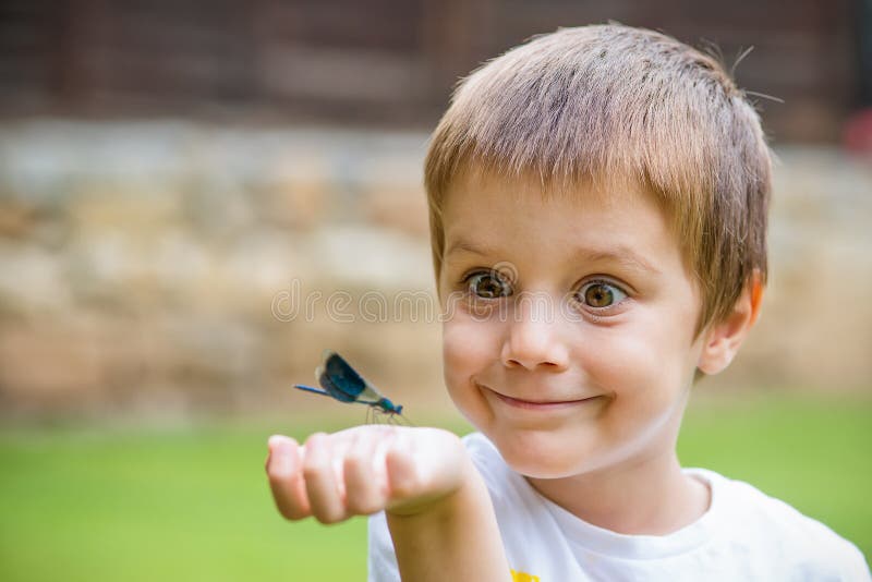 Surprised Young Boy and Dragonfly on His Arm Stock Photo - Image of ...
