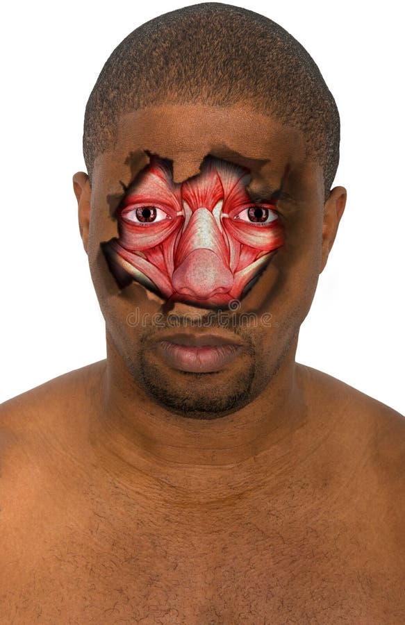 Surreal Face, Man, Muscle, Isolated Stock Photo - Image of face ...