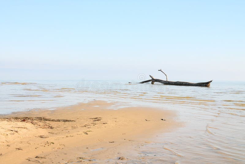 Surreal Lake Shore stock photo. Image of white, shallow - 98404044