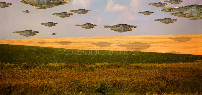 Surreal Landscape with Flying Fish Stock Image - Image of flying, fish ...