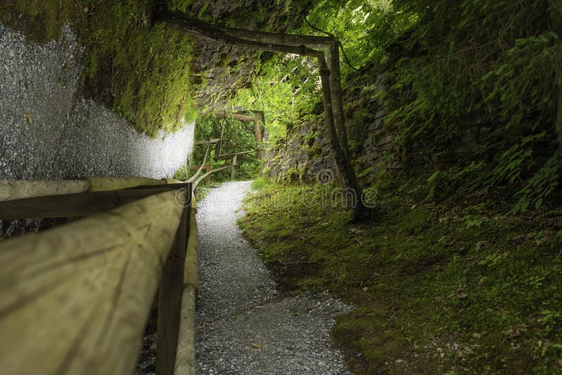 Path through Surreal Autumn Forest Stock Image - Image of dreamy, eerie ...