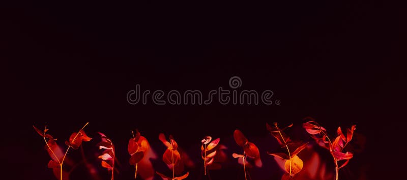 Surreal Red Foliage Pattern Inverted Colors Stems Stock Photo - Image ...