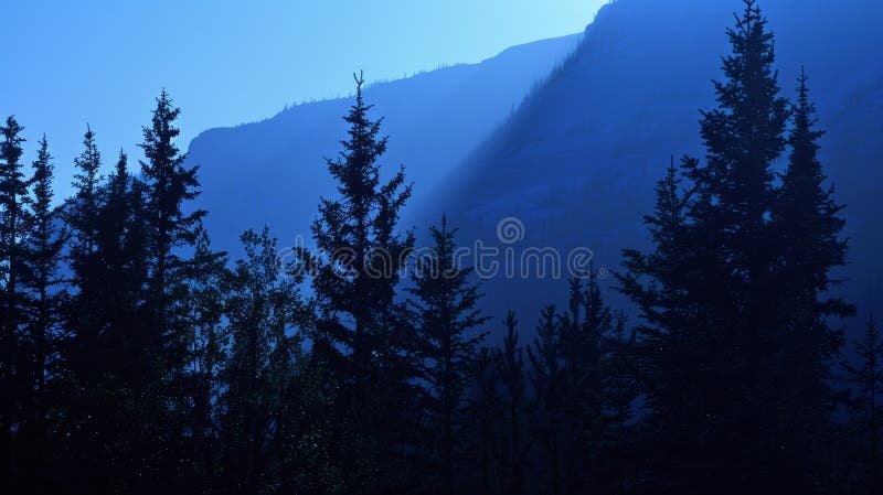 A Surreal Sight of a Mountains Shadow Looming Over a Grove of Trees ...