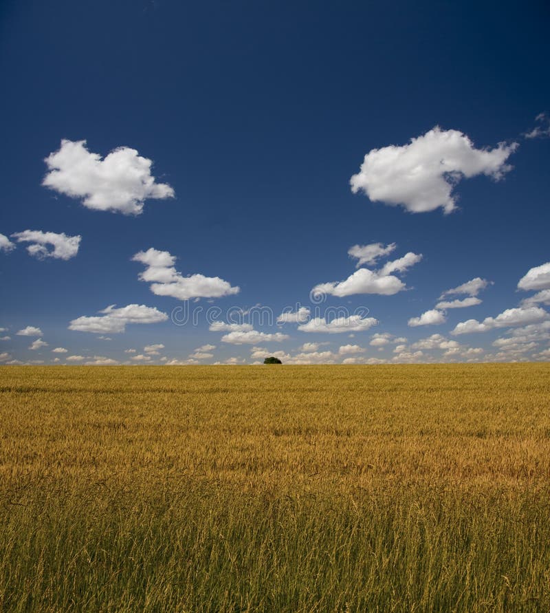 Surreal sky stock image. Image of countryside, climate - 6639999