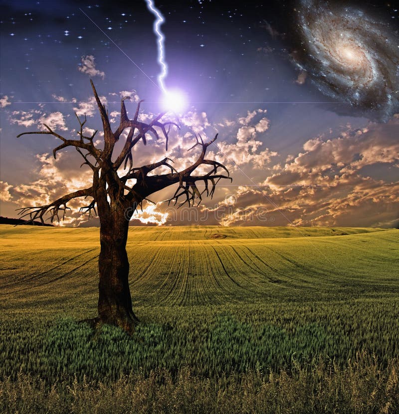 Surreal Sunset Field stock photo. Image of midnight - 257899978