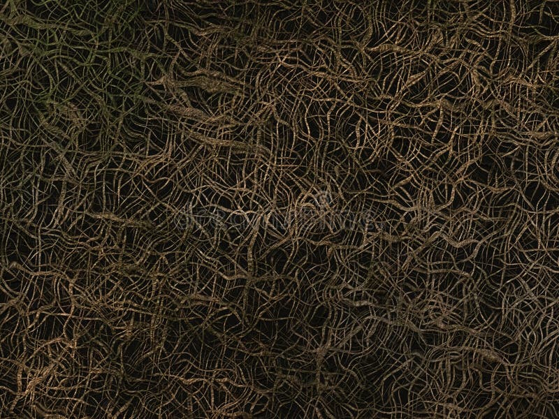 Surreal Tangled Root Backgrounds Stock Image - Image of interweaving ...