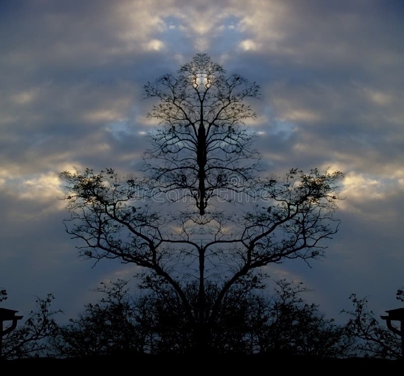 Surreal trees stock image. Image of lonely, landscape - 128248713