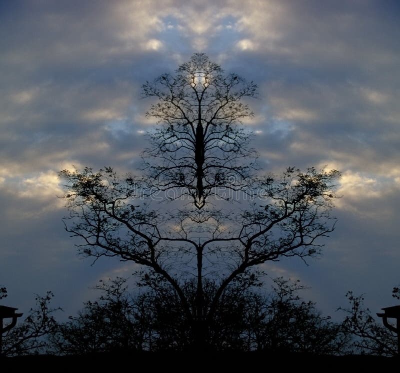 Surreal trees stock image. Image of lonely, landscape - 128248713