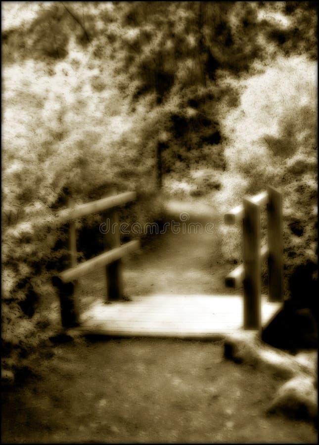 Path through Surreal Autumn Forest Stock Image - Image of dreamy, eerie ...
