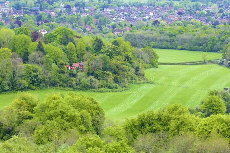 Surrey hills, England stock image. Image of picturesque - 146748875