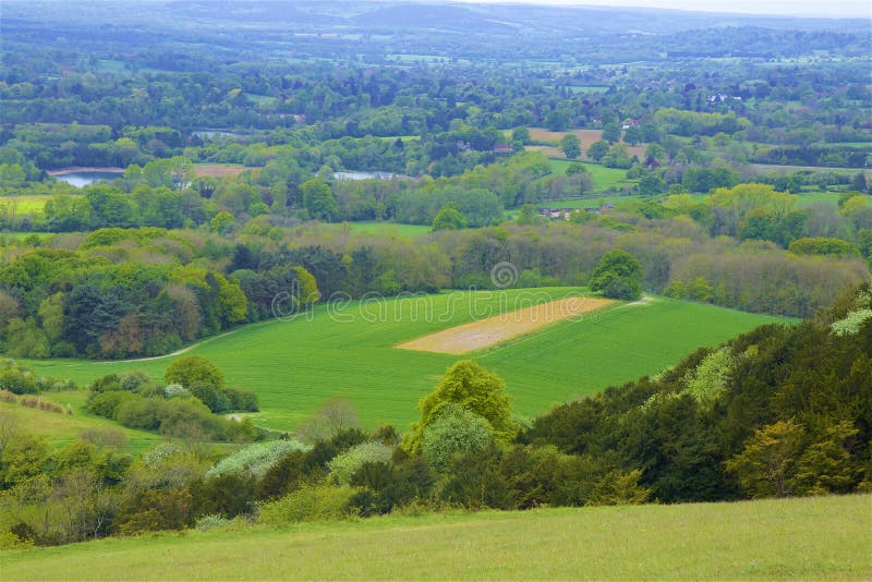 Surrey hills, England stock image. Image of landscape - 146749043