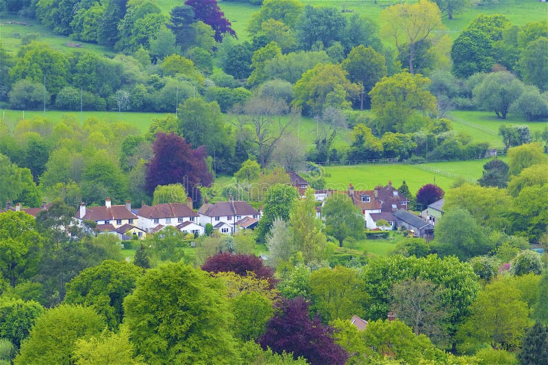 Surrey hills, England stock photo. Image of green, nature - 146749076