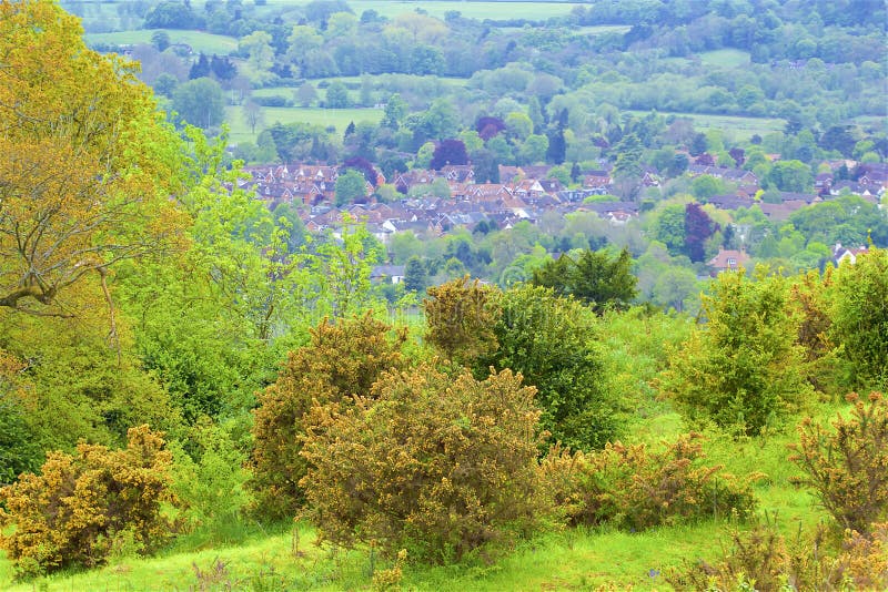 Surrey hills, England stock photo. Image of english - 146749448
