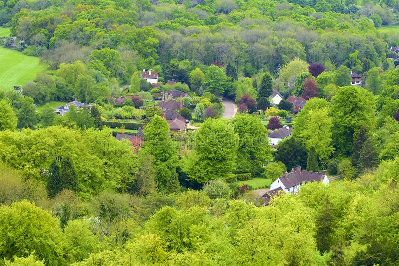 Surrey hills, England stock photo. Image of views, landscape - 146749524