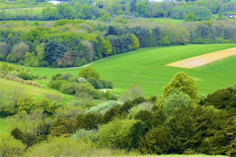 Surrey hills, England stock image. Image of village - 146757627
