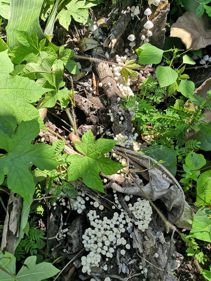 Unding Stock Photos - Free & Royalty-Free Stock Photos from Dreamstime