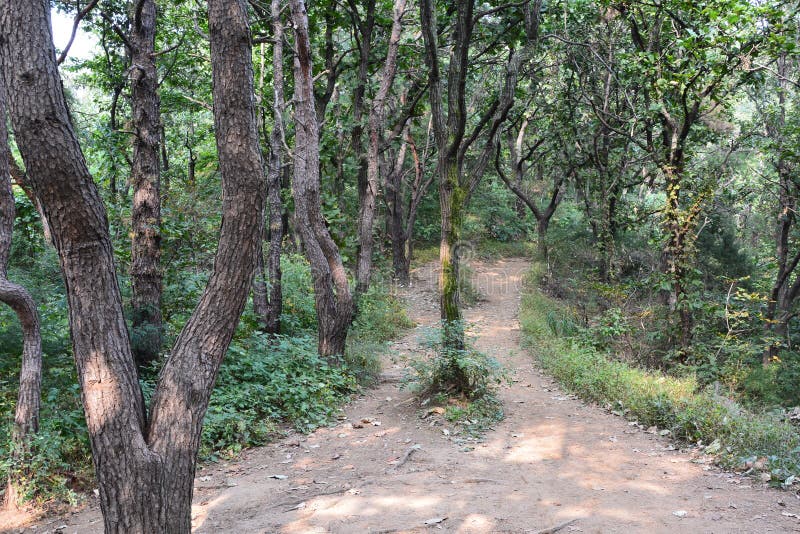 Surrounding Wall stock photo. Image of traditional, destination - 81605530