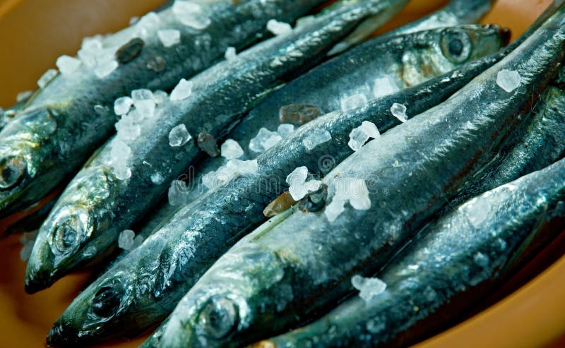Surstromming Swedish Sour Herring Stock Image - Image of baltic ...
