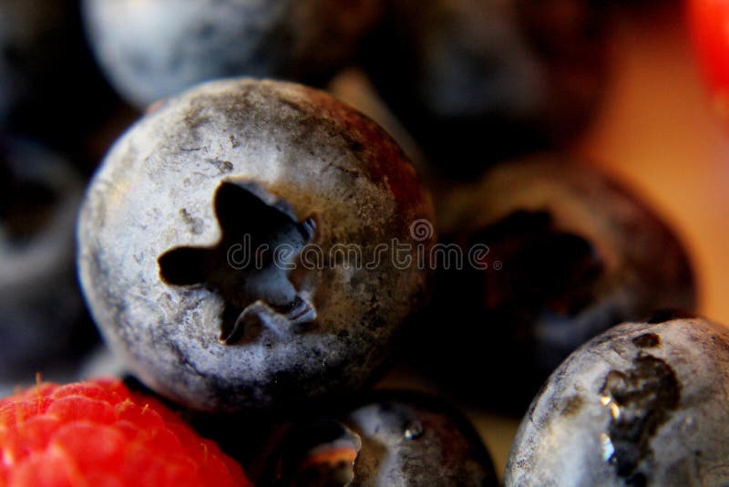 Surtido de bayas imagen de archivo. Imagen de frambuesa - 242039307