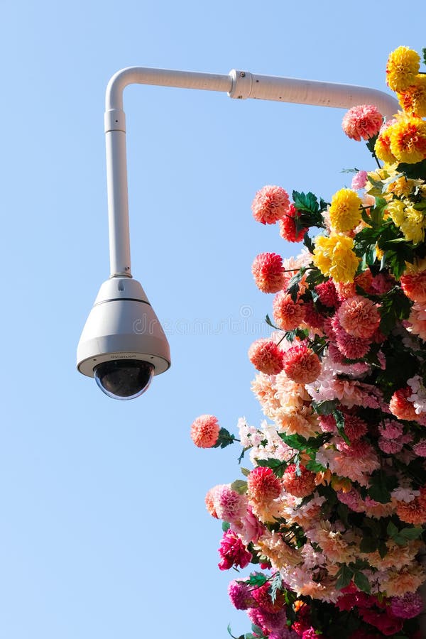 Surveillance camera stock image. Image of flowers, pole - 344564951