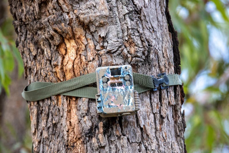 Surveillance Camera stock image. Image of camera, trap - 212848279