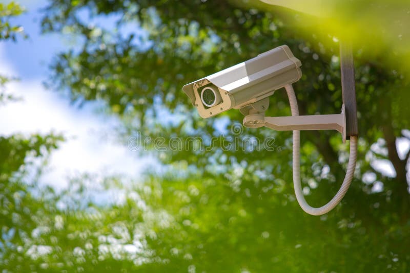 Surveillance Camera on the Tree with Blue Sky Stock Photo - Image of ...