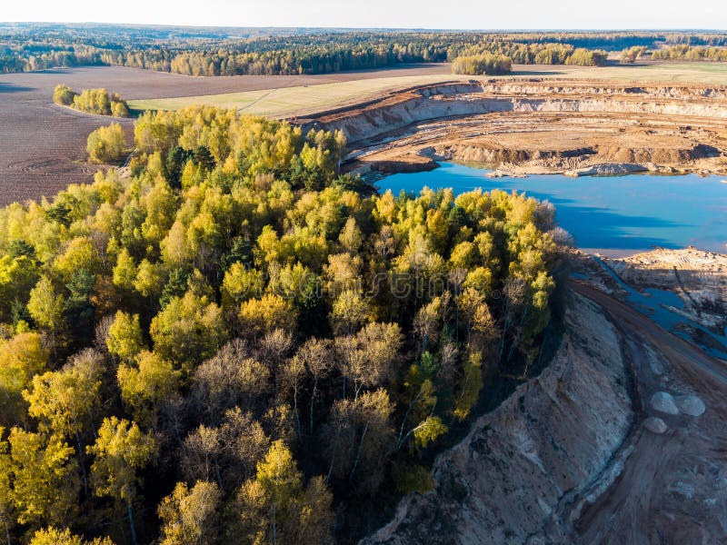 Surviving Forest Area on the Border with the Development of a Large ...