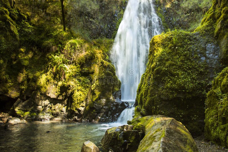 Susan Creek Falls, Oregon stock image. Image of moss - 97381557