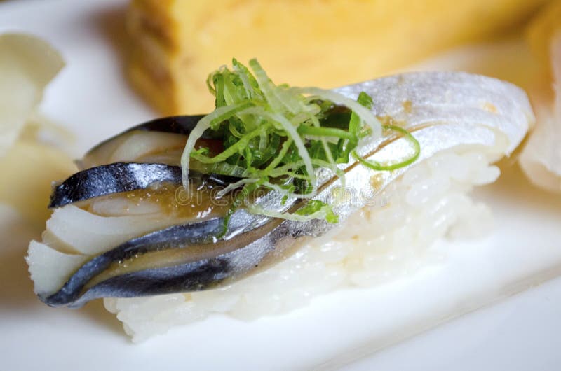 Sushi stock photo. Image of fish, saba, scallion, sushi - 36480478