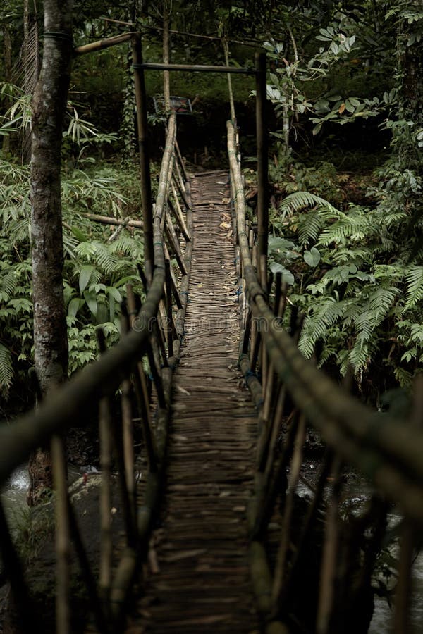 Jungle Bamboo Bridge Stone Stairs Leading To Woven Bamboo Bridge Over