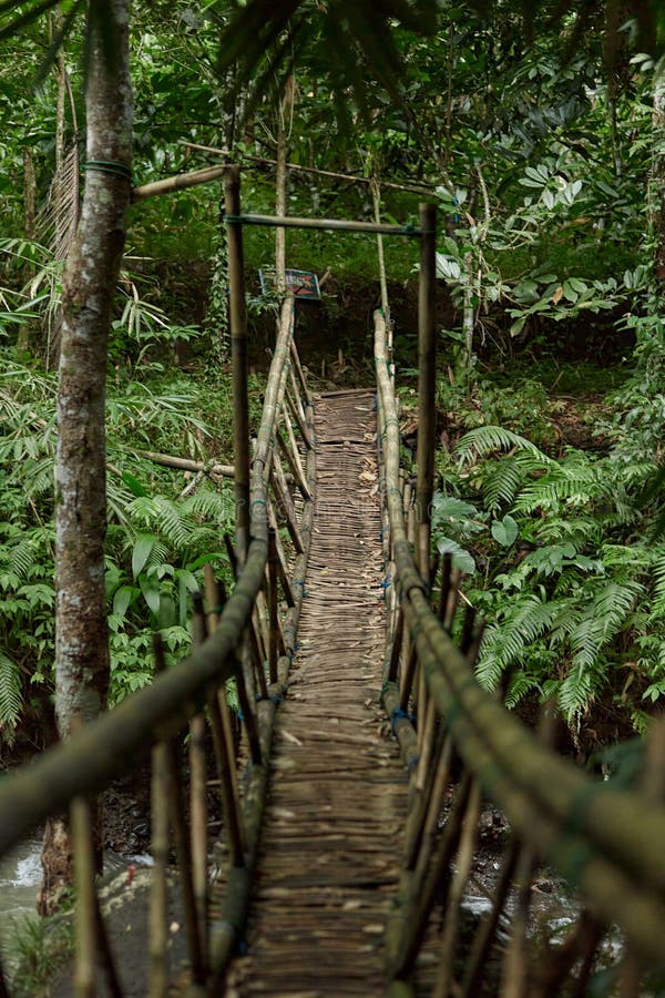 Suspended Bamboo Bridge in the Jungle on the Popular Island of Bali ...
