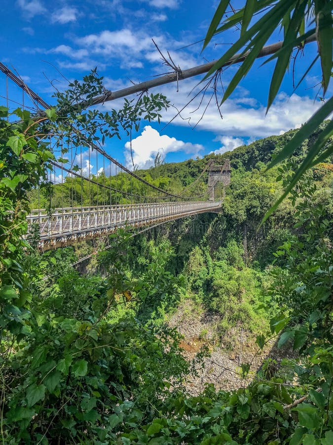 Old Suspended Bridge in the Jungle on La Reunion Island Stock Image ...