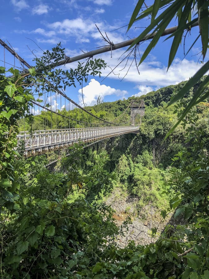 Suspended Bridge on La Reunion Island Stock Photo - Image of jungle ...
