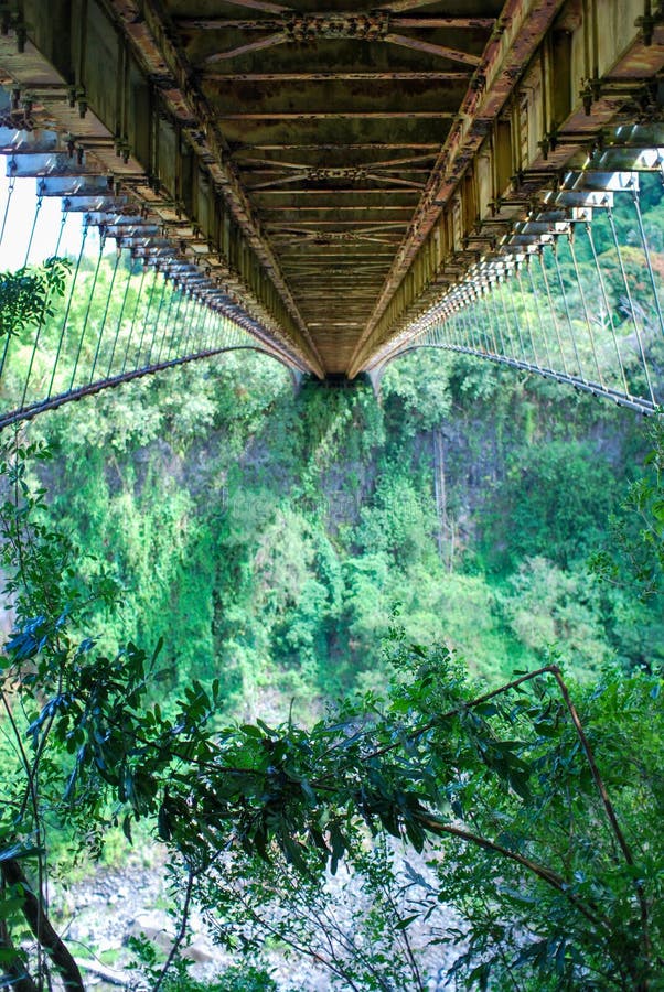 Suspended Bridge on La Reunion Island Stock Photo - Image of bridge ...