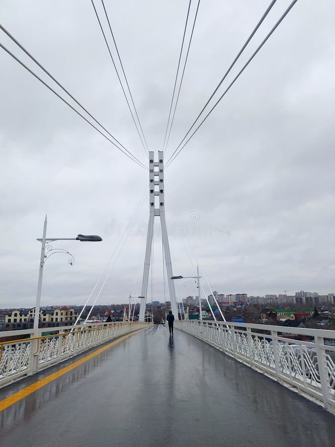 Suspended Cable-stayed Bridge in Cloudy Autumn Weather after Rain Stock ...