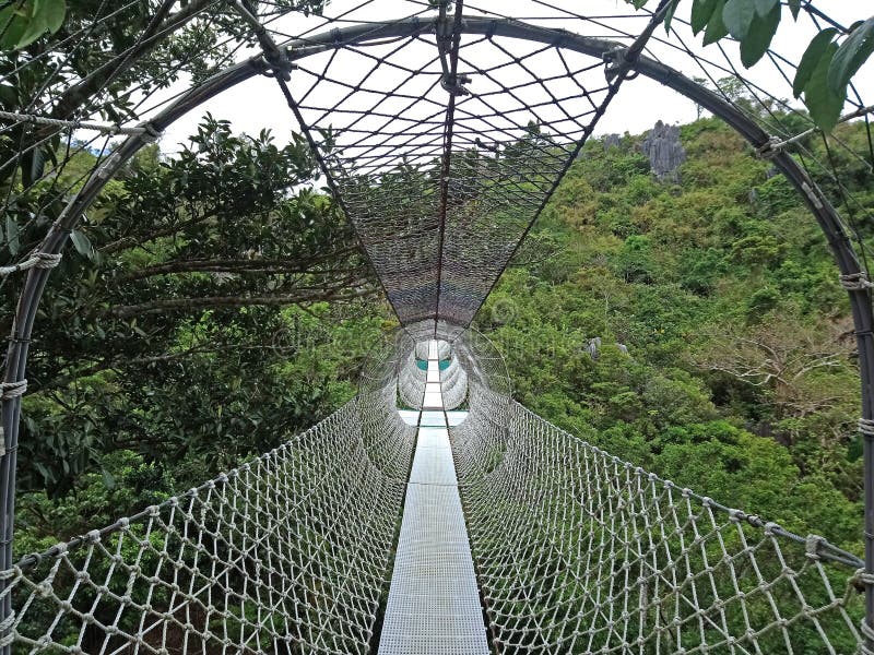 Suspended Hanging Bridge Made from Ropes Stock Image - Image of ...
