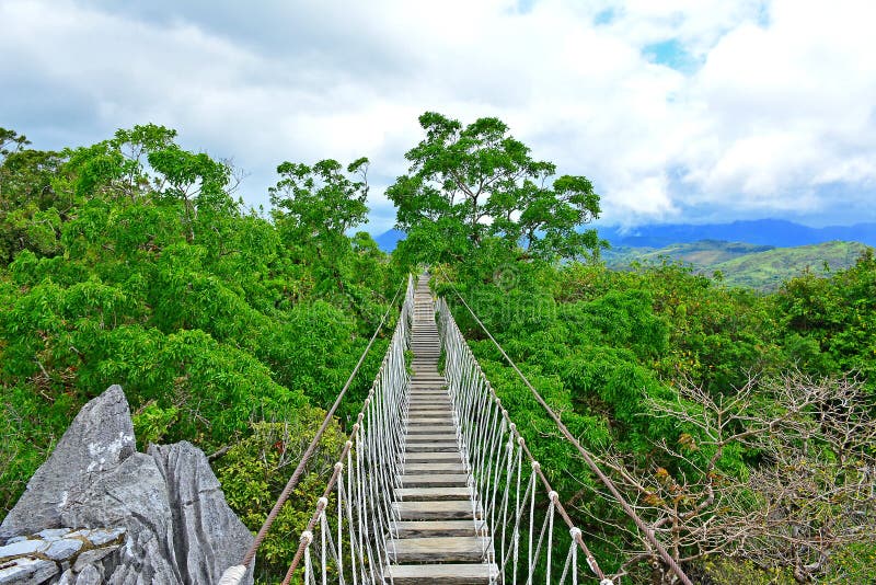 Suspended Hanging Bridge Made from Ropes Stock Photo - Image of baras ...