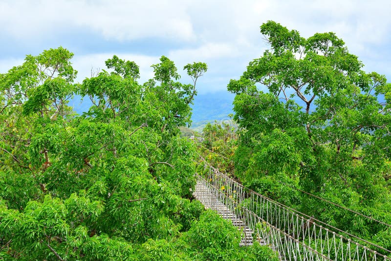 Suspended Hanging Bridge Made from Ropes Stock Image - Image of luzon ...