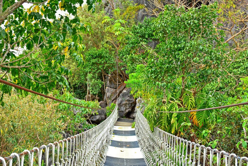 Suspended Hanging Bridge Made from Ropes Stock Photo - Image of bridge ...