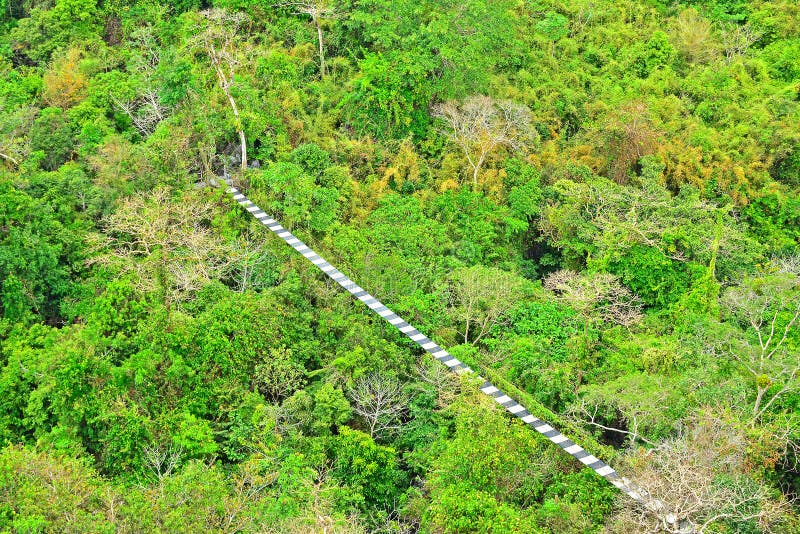 Suspended Hanging Bridge Made from Ropes Stock Photo - Image of access ...