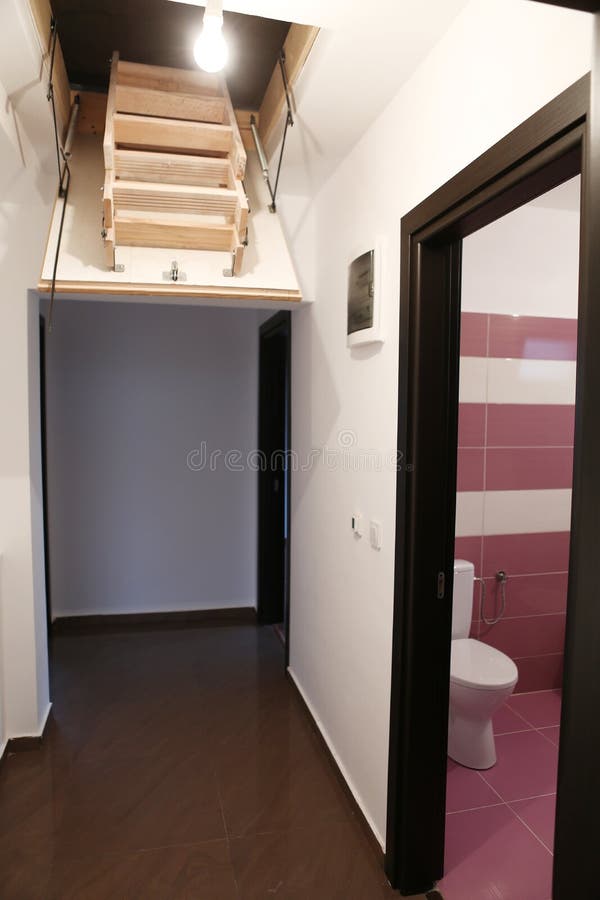 Suspended ladder stock photo. Image of inside, architect - 52973290