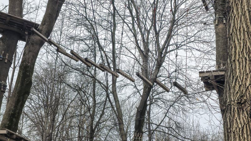 Suspended Obstacle Course in the Park on the Trees. Boards on Ropes in ...
