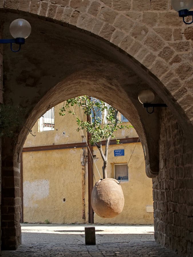 The Suspended Orange Tree. Yaffo, Israel Stock Image - Image of plant ...