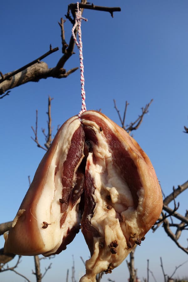 The Meat Drying Outside on the Sun Stock Image - Image of diet, chopped ...