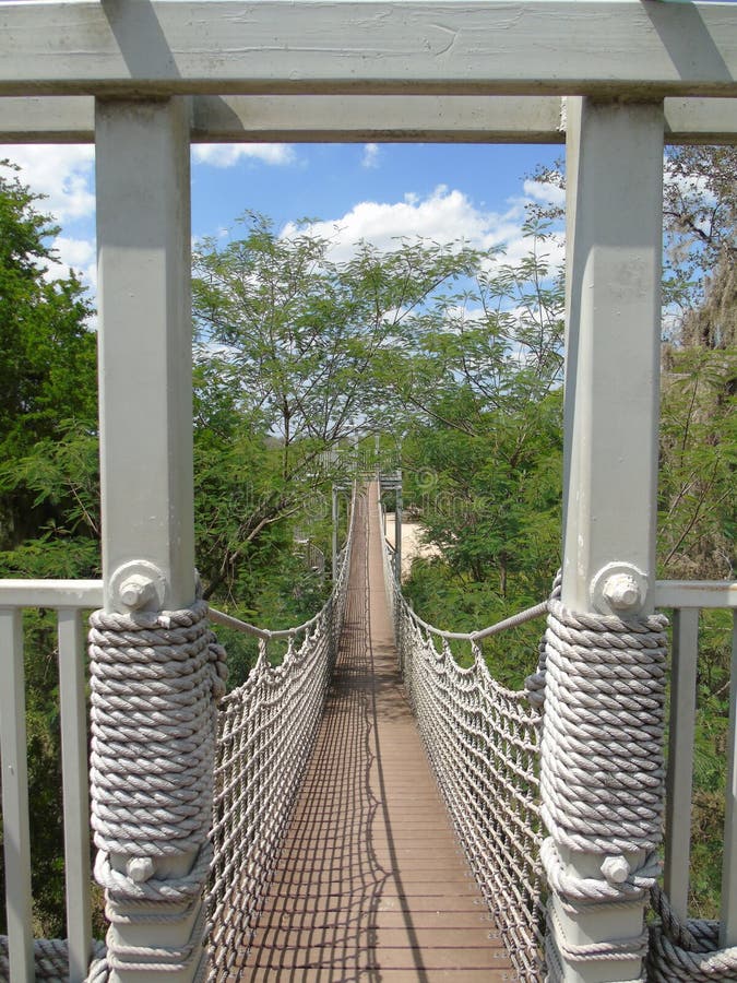 Suspended rope bridge stock photo. Image of leading - 100411712
