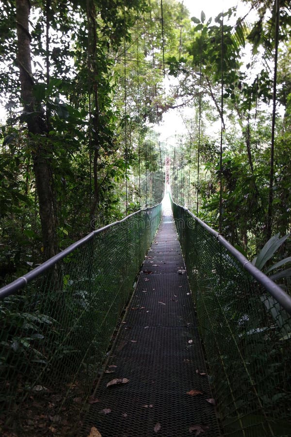 Suspended Walkway Safety Net, Mesh Pattern, Tied Rope and Knots ...