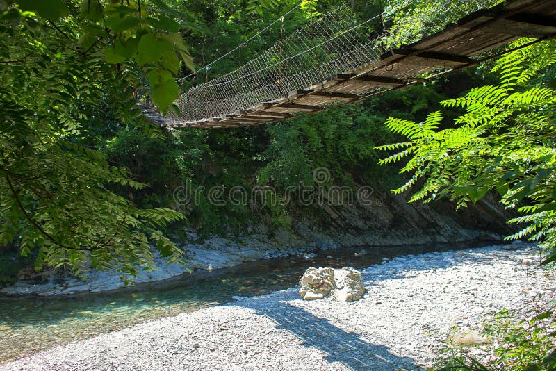 Suspended Wooden Bridge Over Small Mountain River in Forest. Bottom ...