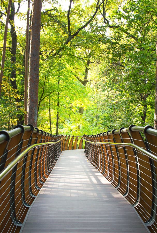 Suspended Wooden Bridge in Park. Footpath in the Forest at the Level of ...