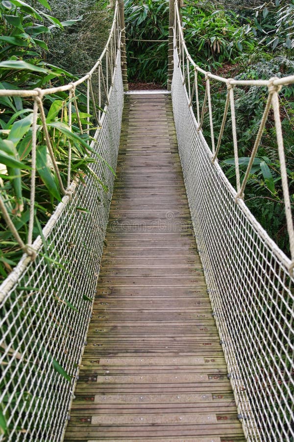 Suspended Wooden Bridge in the Tropical Forest Stock Image - Image of ...