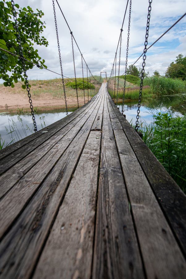 Suspension Bridge Across the River in the Forest Stock Photo - Image of ...